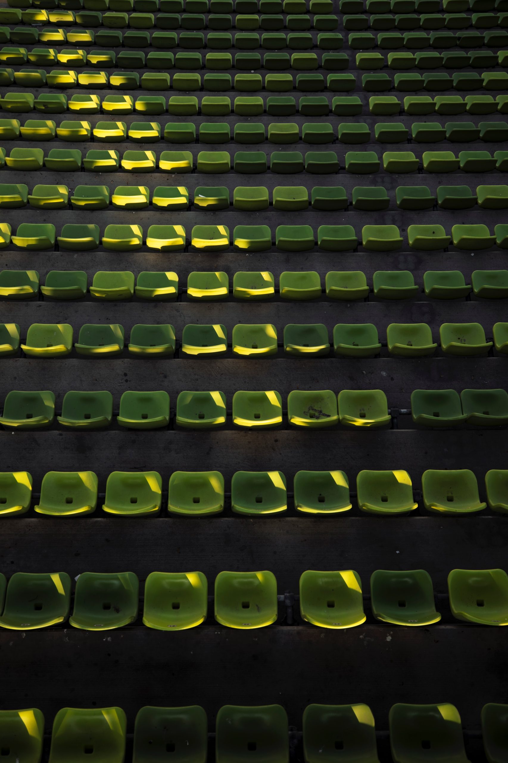 2023 - Crowd DNA